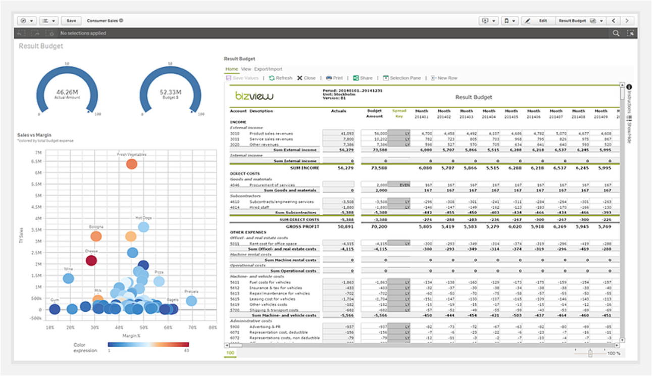 BizView for Qlik Sense and QlikView | Differentia Consulting